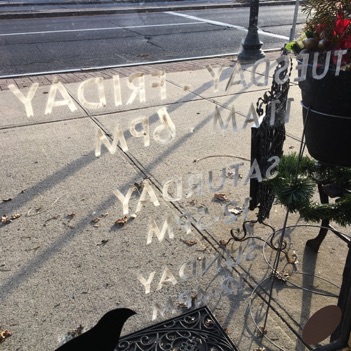 HOME [www.piousbird.com]